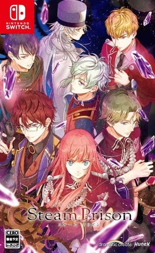 Nintendo Switch Software Steam Prison | Game | Suruga-ya.com