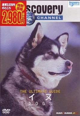 Discovery Channel Dog | Video software | Suruga-ya.com