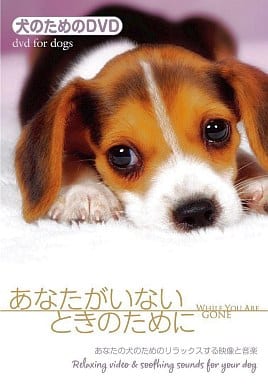 Other DVDs A DVD for dogs, in case you're not there. | Video software ...