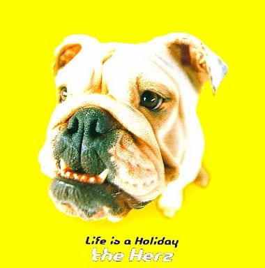 Japanese music CDs The Hertz / Life Is a Holiday | Music software ...