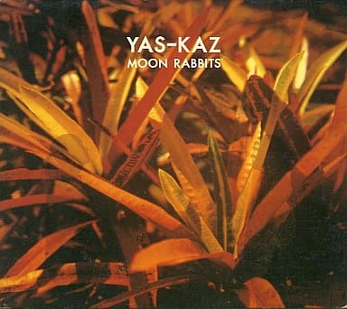 YAS-KAZ/MOON RABBITS | Music software | Suruga-ya.com