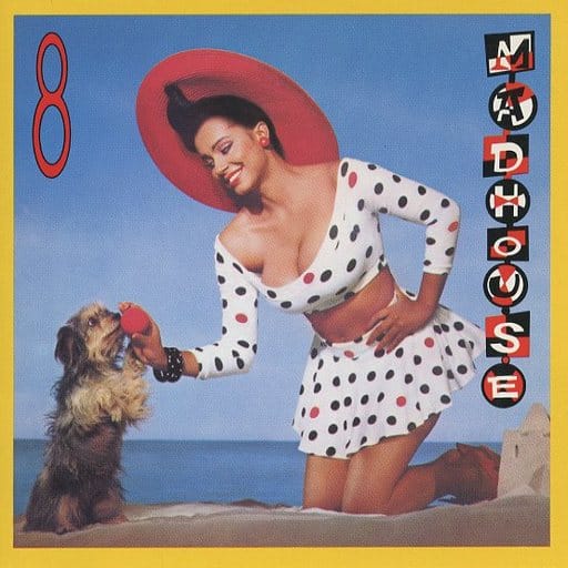 Madhouse / 8 (obsolete) | Music software | Suruga-ya.com