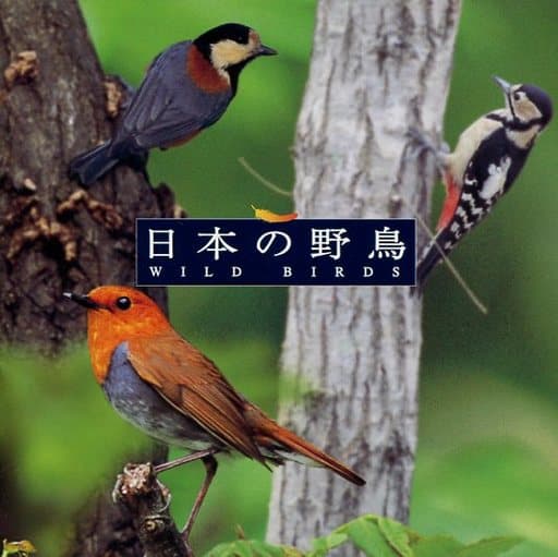 Other CDs The Wild Bird of Japan - New Best One | Music software ...