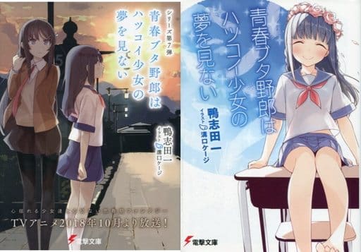 Light Novel Limited edition) Seishun Butataku wa Hatsukoi Shōjo no Yume ni Limited-time ...