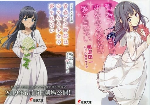Light Novel Limited) Seishun Butataku Yumemiru Shōjo no Yume ni Yumemiru Gekijo no Yume wo Kido ...