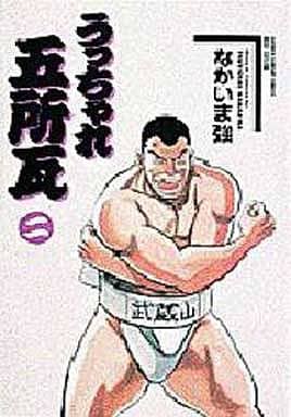 Uchare Gosho kawara tiles (wide version) (2) Shonen Sunday Comic Wide | Book | Suruga-ya.com