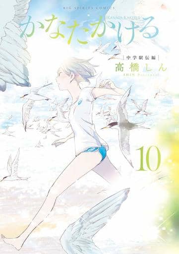 B6 Comics Spread (10) Big Comics | Book | Suruga-ya.com