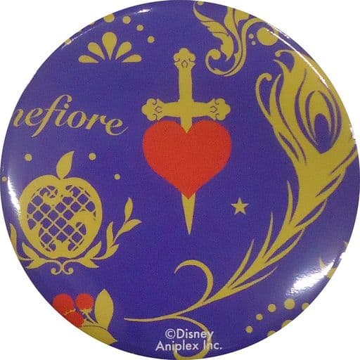 Miscellaneous goods Pomefiore Dormitory Mirror 「 Disney: Twisted ...