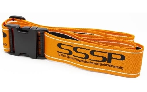 Miscellaneous goods SSSP : This Computer "Shin Ultraman" | Goods ...