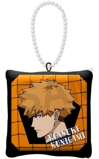 Miscellaneous goods Rensuke Kunigami Mini Square Cushion Key Holder ...