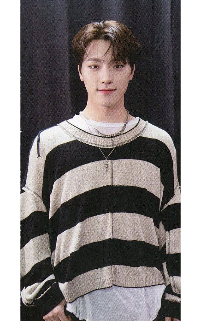 ブックカバー・栞 [単品] ディノ ランダムブックマーク(裏面：ピンク) 「2022 SVT 6TH FAN MEETING ...