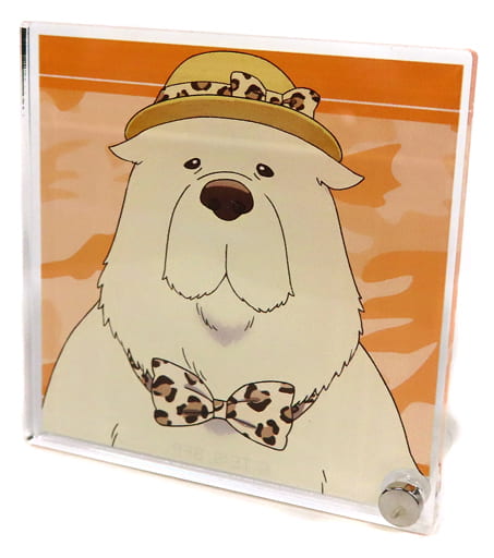 Bond Forger (Up) "SPY×FAMILY in Tobu Zoo illustration animal pattern ...