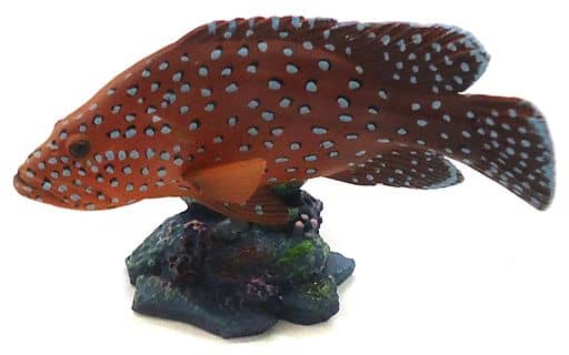 Yuka Tahta 「 Primary Color Marine Fish Guide I 」 | Toy Hobby | Suruga ...