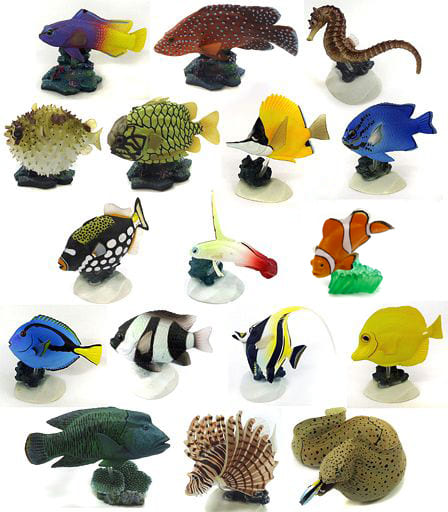 All 17 kinds set "Primary Color Sea Fish Guide I" | Toy Hobby | Suruga ...