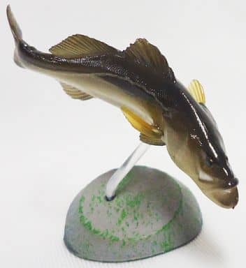Suzuki 「 Primary Color Marine Fish Guide II 」 | Toy Hobby | Suruga-ya.com