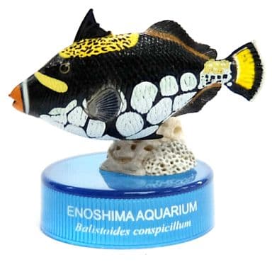 Trading figure Crown triggerfish "Capsule Aquarium : Japanese Aquarium ...