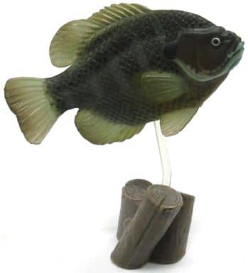 Trading figure BLUEGILL 「 PRIMARY COLOR FRESHWATER FISH GUIDE II ...
