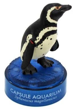 Trading figure 11. Magellanic penguin 「 Capsule Aquarium 」 Aquarium ...