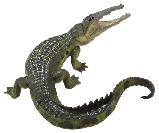 Maçka Newani 「 Capsule Q Museum : Dinosaurs in Japan 」 | Toy Hobby ...