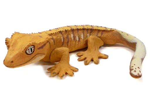 Trading figure Crested Gecko (Tiger) "Capsule Q Museum Gemori Daizen 3 ...