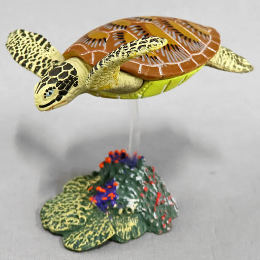 Trading figure Green Turtle "Encyclopedia of Three Dimensional Capsules ...