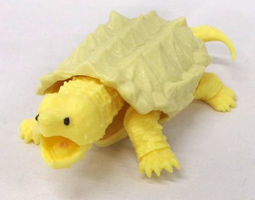 Trading figure Alligator snapping turtle : 「 Ikumono Daizukan Kame 03 ...
