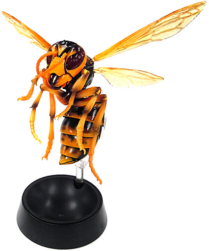 2. Yellow Hornet 「 Creature Large Picture Book Advanced Hornet 」 | Toy ...