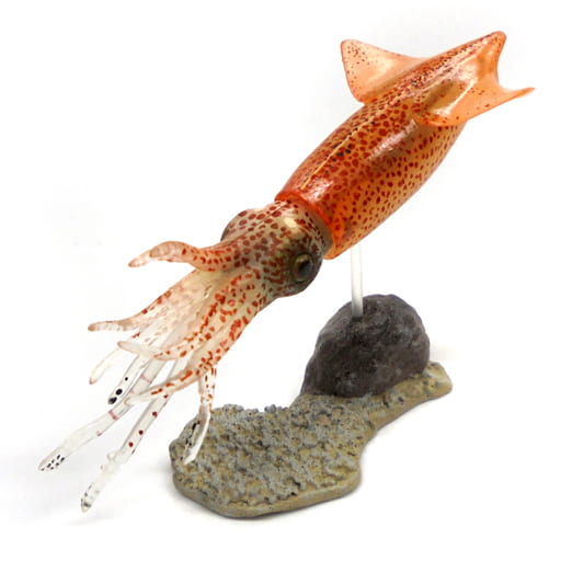 40. Firefly Squid' Shukan Nihon no Natural Monuments of Japan Edition ...