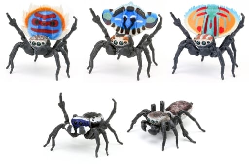5-Variety Set "Ikimono Daizukan Peacock Spider" | Toy Hobby | Suruga-ya.com