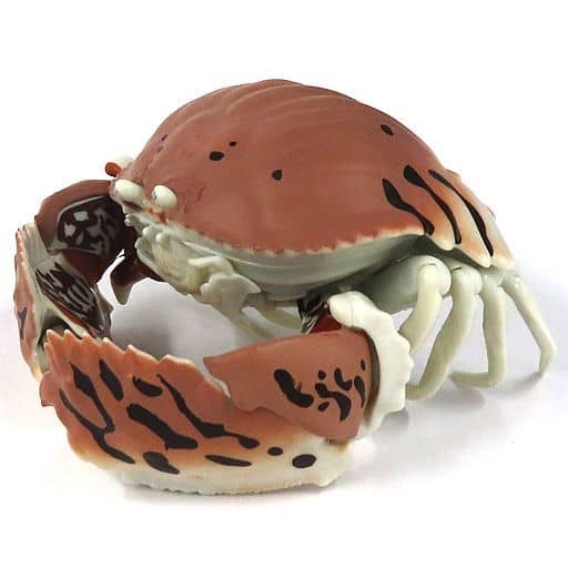 Trading figure 3. Calappa' Ikimono Daizukan Kani' | Toy Hobby | Suruga ...
