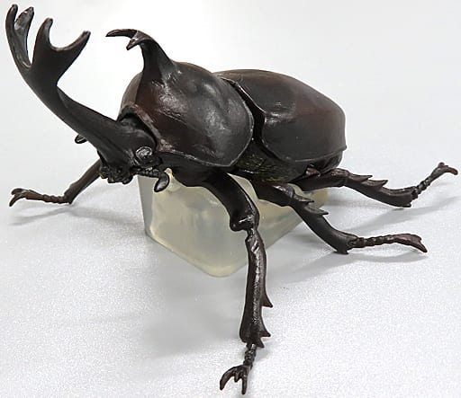 H prize for "Ichiban KUJI Insects Museum of the World of Insects", a ...
