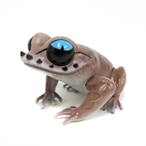 Toad "Fantasy, Water and Land Spirits Series" | Toy Hobby | Suruga-ya.com