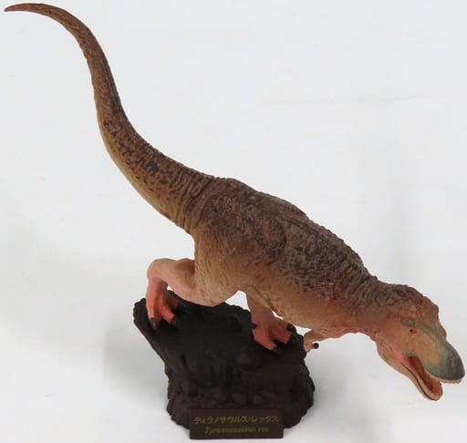 Tyrannosaurus Rex "Special Exhibition 『 Dinosaur Expo 2023 』 Official ...