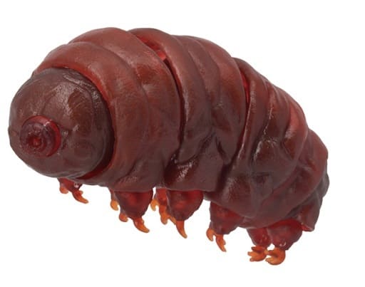 Trading figure Tardigrades (transparent dark brown / regular edition ...