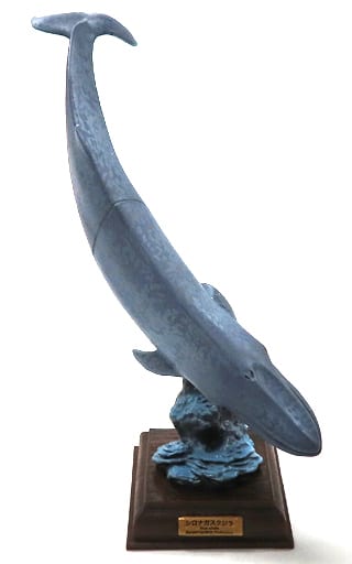 Trading figure Blue whale "Nature Technicolor Ocean I, 2nd edition ...