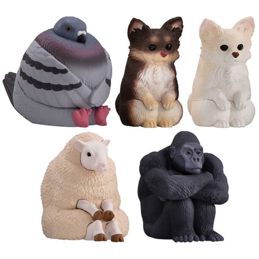 Trading figure 5-Type Set "Machiboke 10" | Toy Hobby | Suruga-ya.com