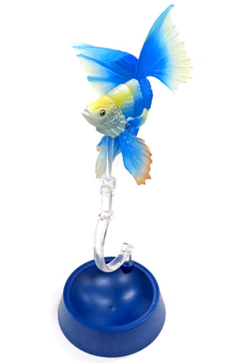 Beta (Full Moon Yellow & Blue) "Ikimono Daizukan Advanced Beta" | Toy ...