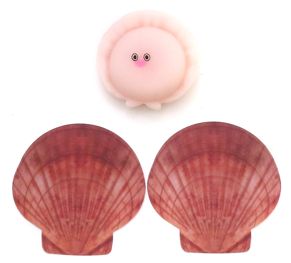 4) Live? Vertical "Ho … ♪ Vertical BOX version" | Toy Hobby | Suruga-ya.com