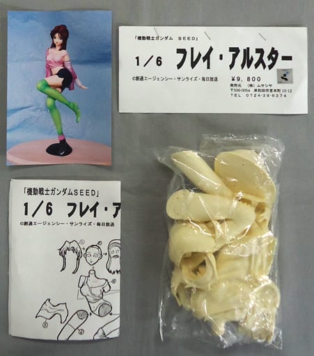Flay Allster "MOBILE SUIT GUNDAM SEED" 1/6 Resin Cast Kit | Toy Hobby ...
