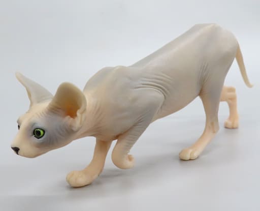 Sphinx (Canadian Hairless) B "Real Animal Series" 1/6 stache | Toy ...