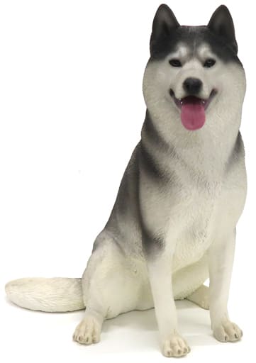 Siberian Husky 2.0 4B (sitting) "Real Animal Series" 1/6 stout | Toy ...