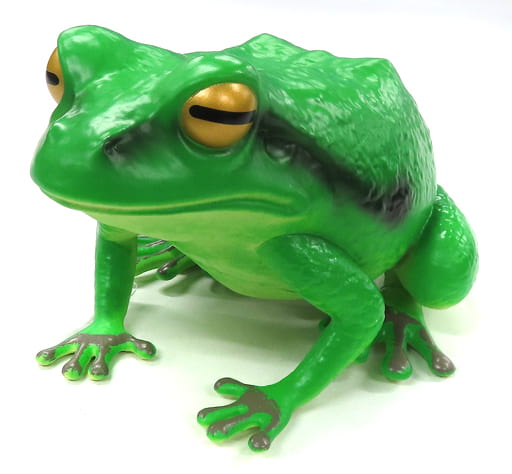 Tree Frog (Green) Big Figure 2 | Toy Hobby | Suruga-ya.com