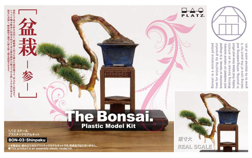 Model 1/12 The Bonsai Tour [BON-03] | Toy Hobby | Suruga-ya.com