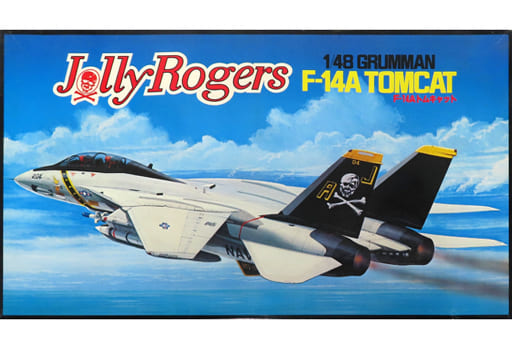 Plastic model 1/48 Gramman F-14A Tomcat "Fighter Series No. 29" [5A-29 ...
