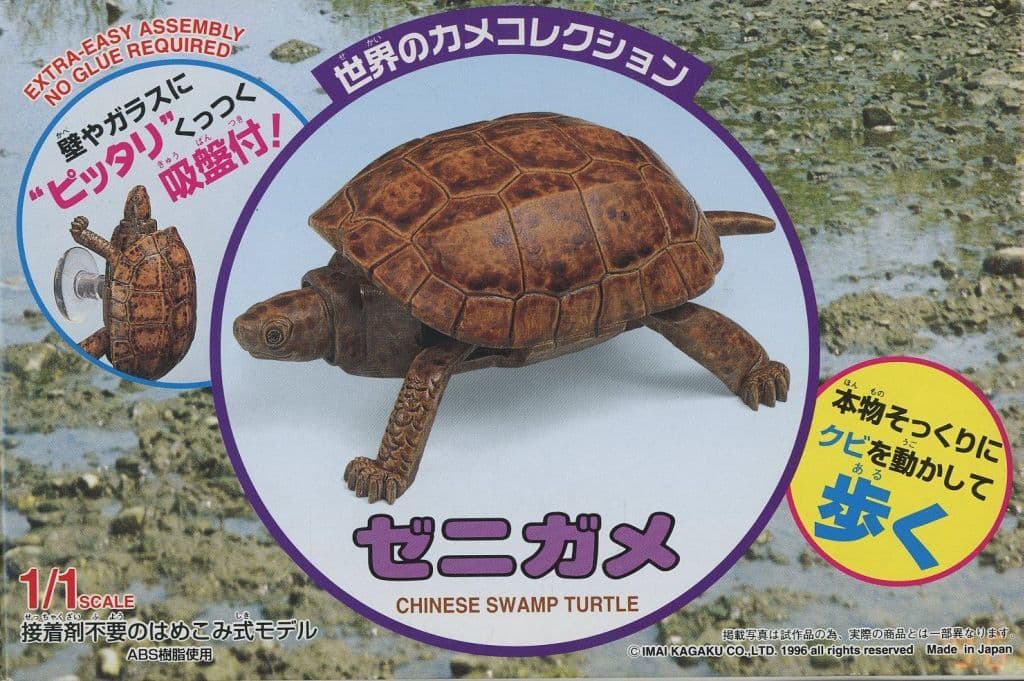 1/1 Walk! Squirtle "World's Turtle Collection No. 3" [B-2565] | Toy ...