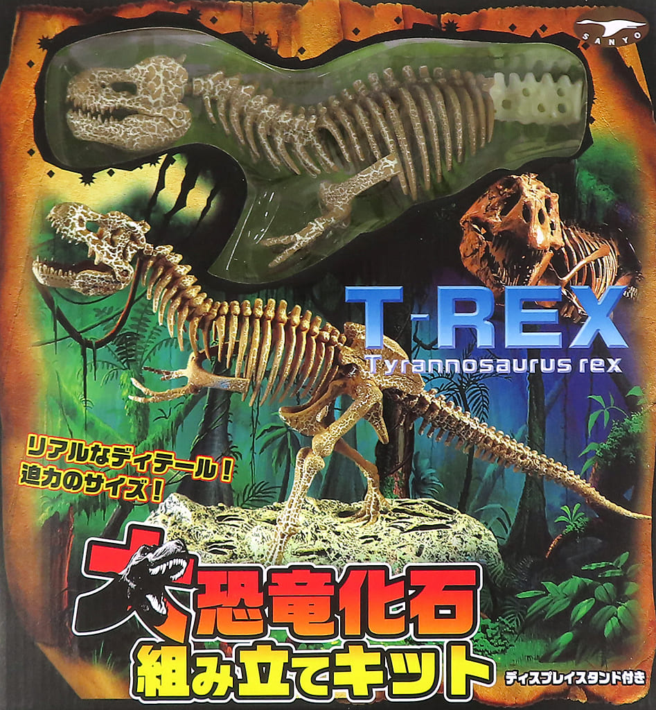 Plastic model Large Dinosaur Fossil Assembly Kit T-REX Fossil Brown ...