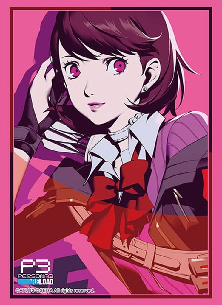Busshi Load Sleeve Collection High Grade Vol. 4241 PERSONA 3 Reload ...