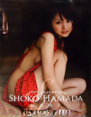 Shoko Hamada 2009 calendar | Goods / Accessories | Suruga-ya.com