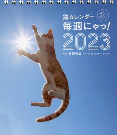 Calendar Cat Calendar Every Week! 2023 Calendar | Goods / Accessories ...