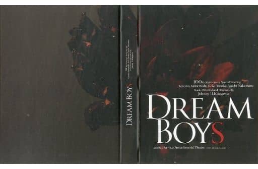Photo Frame Album (Male) Photo Album "DREAM BOYS 2011" | Goods ...